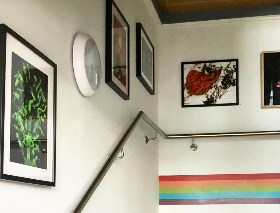 Scanner-photograph exhibition at Totnes Library | Jan O'Highway